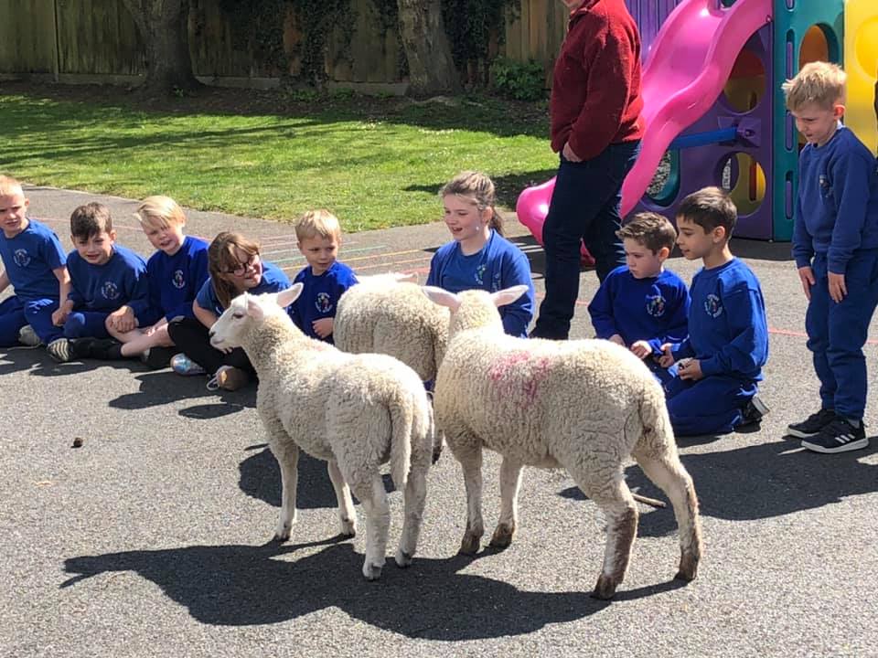 Events – Chalton Lower School
