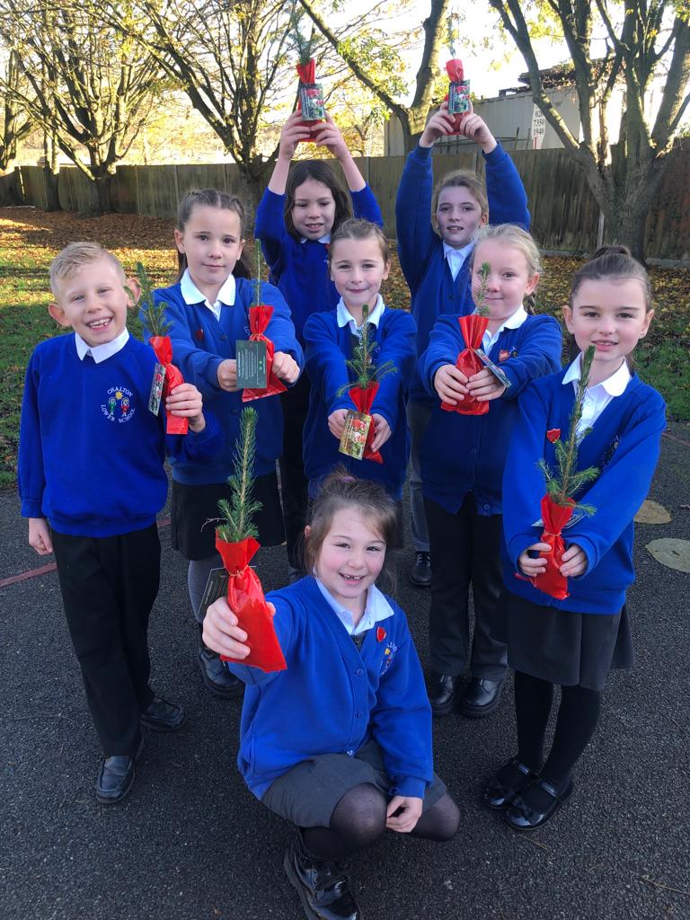 School Council – Chalton Lower School